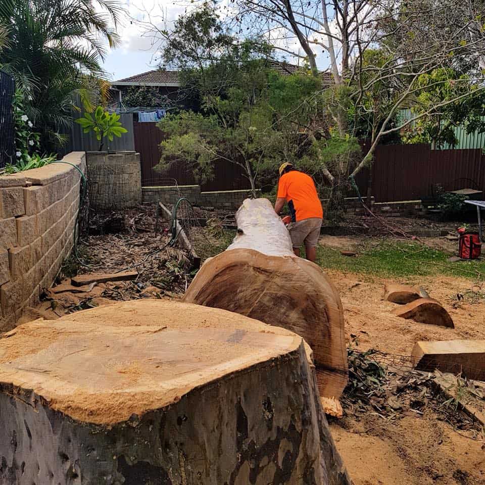 Services - Ninja Tree Services